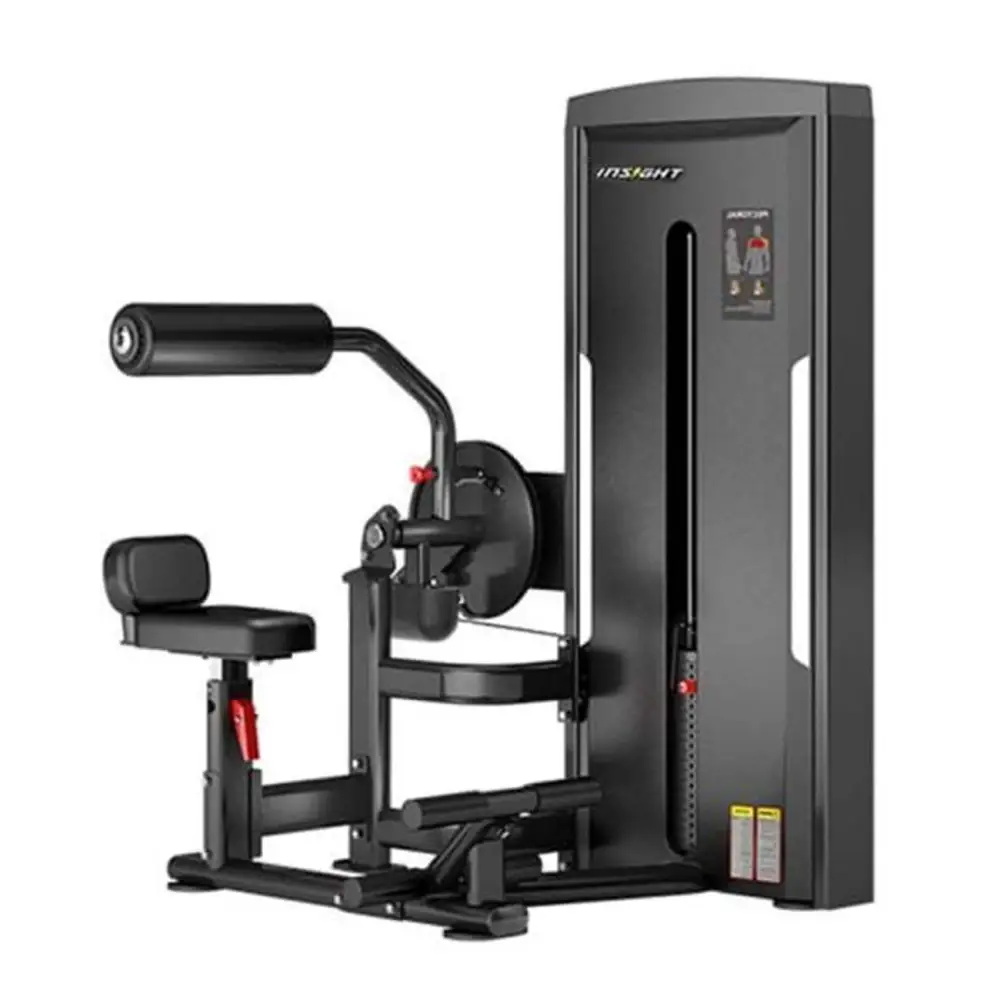 Insight Fitness Abdominal Back Extension
