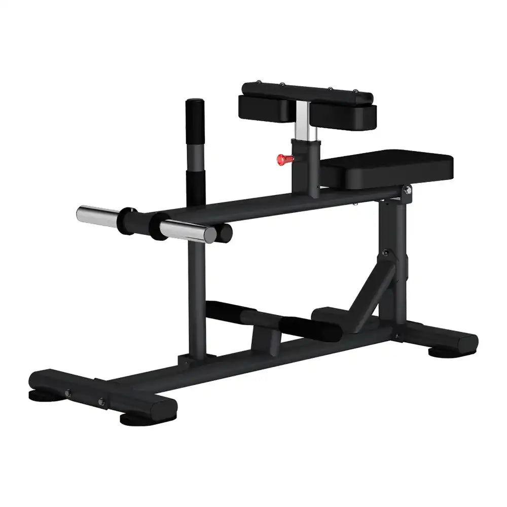 Insight Fitness Seated Calf Raise | Pro Sports Kuwait
