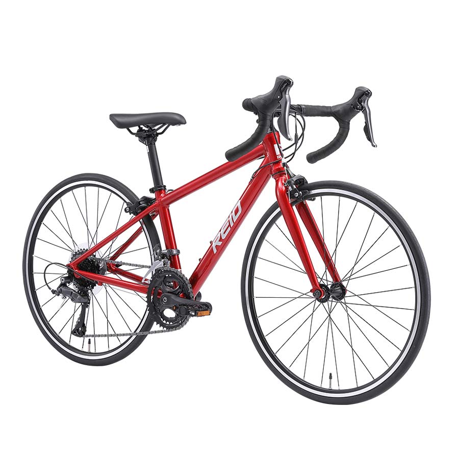 Reid Falco Jr 24" Juniors Bike